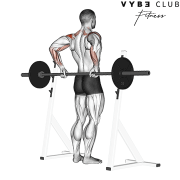Barbell Rear Delt Raise (Behind-the-Back) - Vybe Club