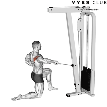 Half Kneeling Cable External Rotation - Vybe Club