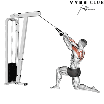 Half Kneeling High Cable Row Rope - Vybe Club