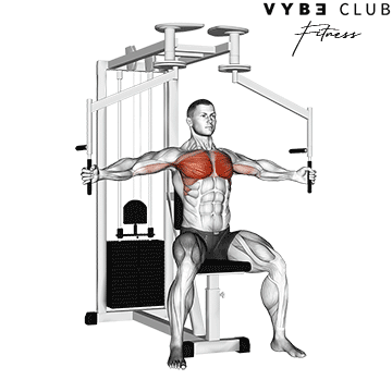 Pec Deck Fly / Machine Fly - Vybe Club